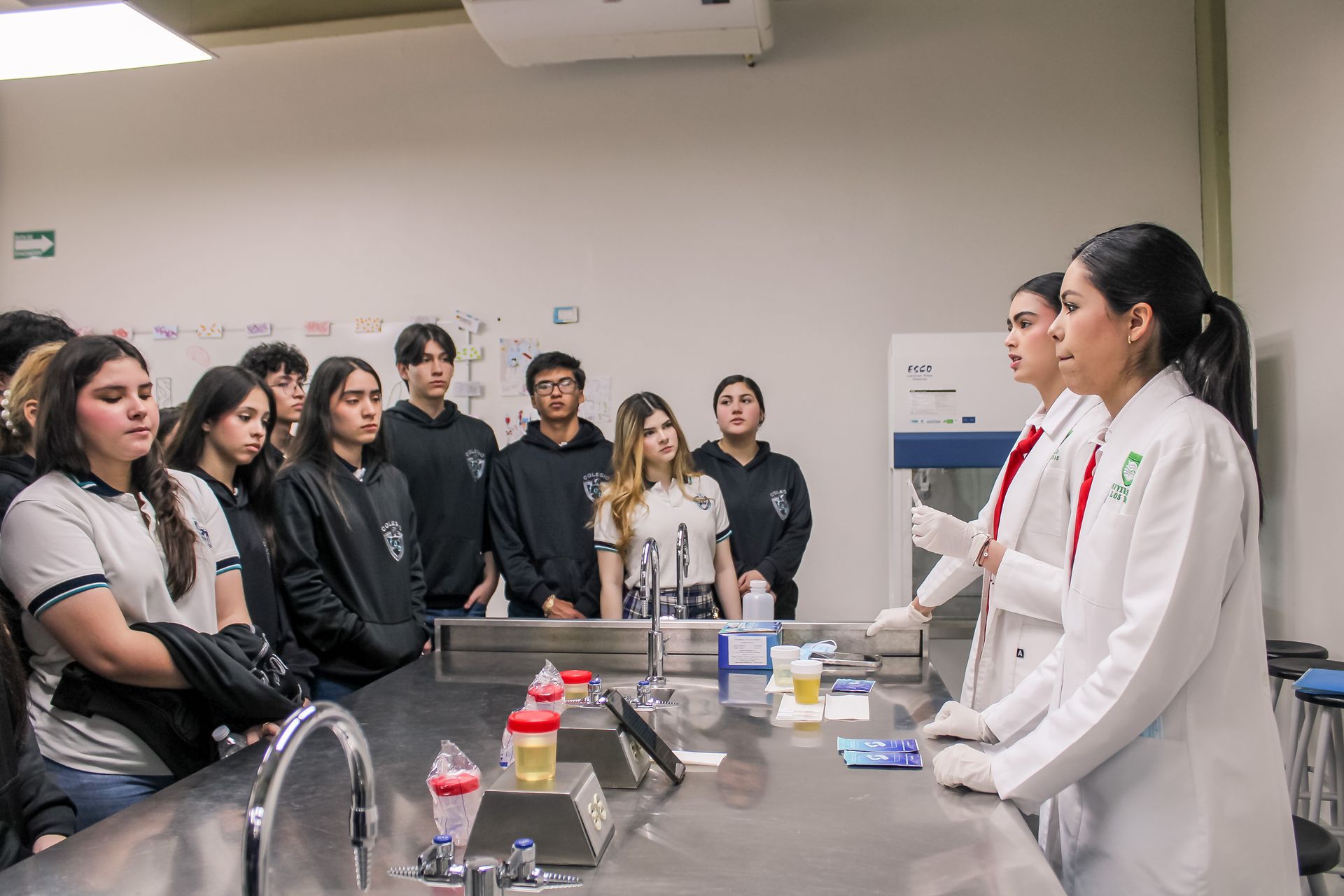 Experiencia UDLM 2025 | Universidad de Los Mochis AC