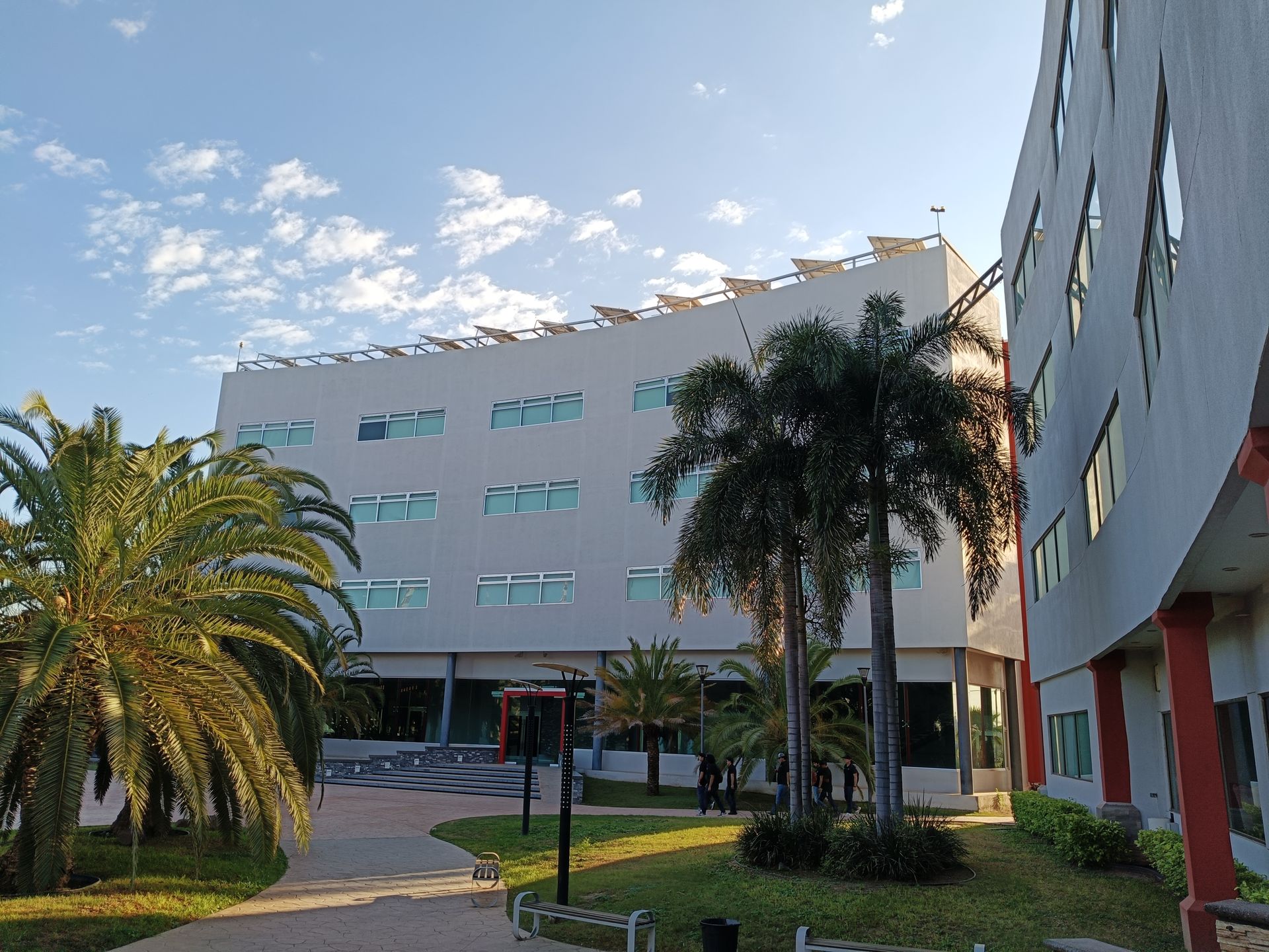 Universidad de Los Mochis